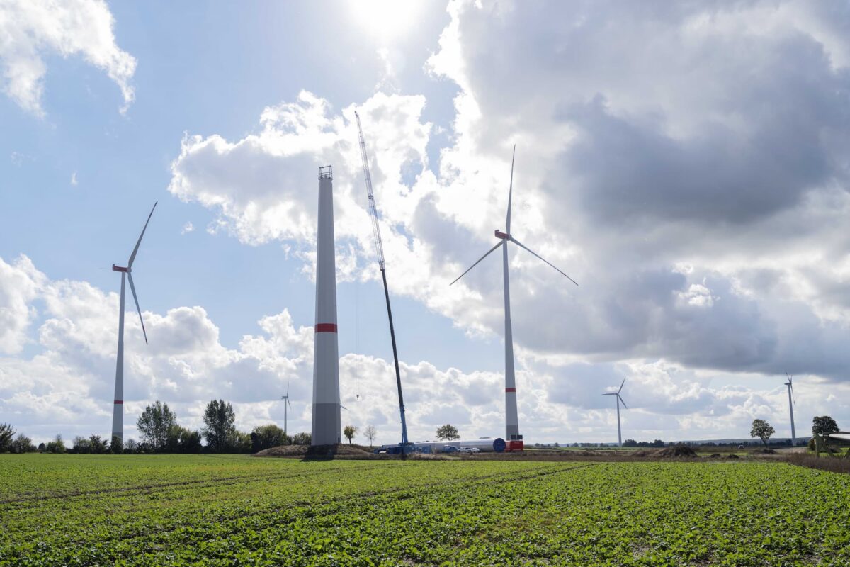 News & Insights - European Energy