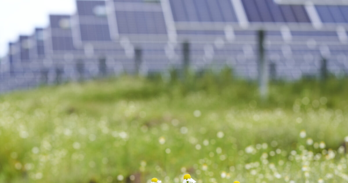 European Energy calls for a legislative change in Sweden for solar ...