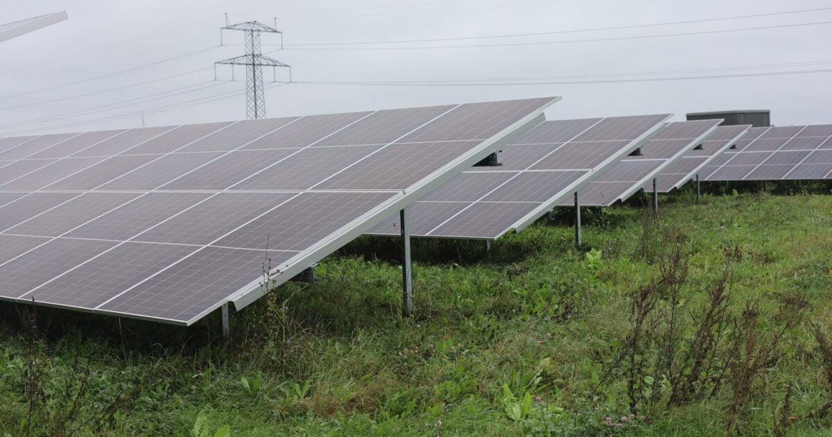 European Energy releases white paper on renewable energy in Denmark ...