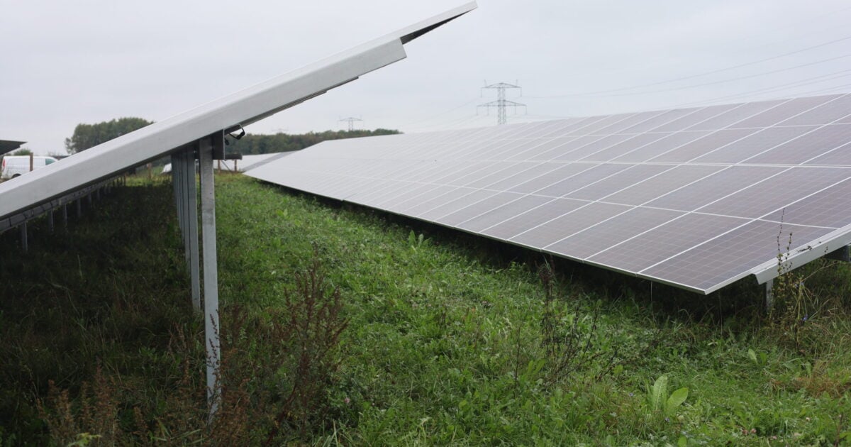 European Energy to start operations at Holsted Solar Park - European Energy