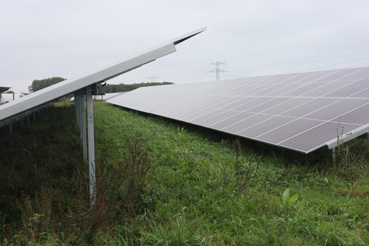 European Energy to start operations at Holsted Solar Park - European Energy