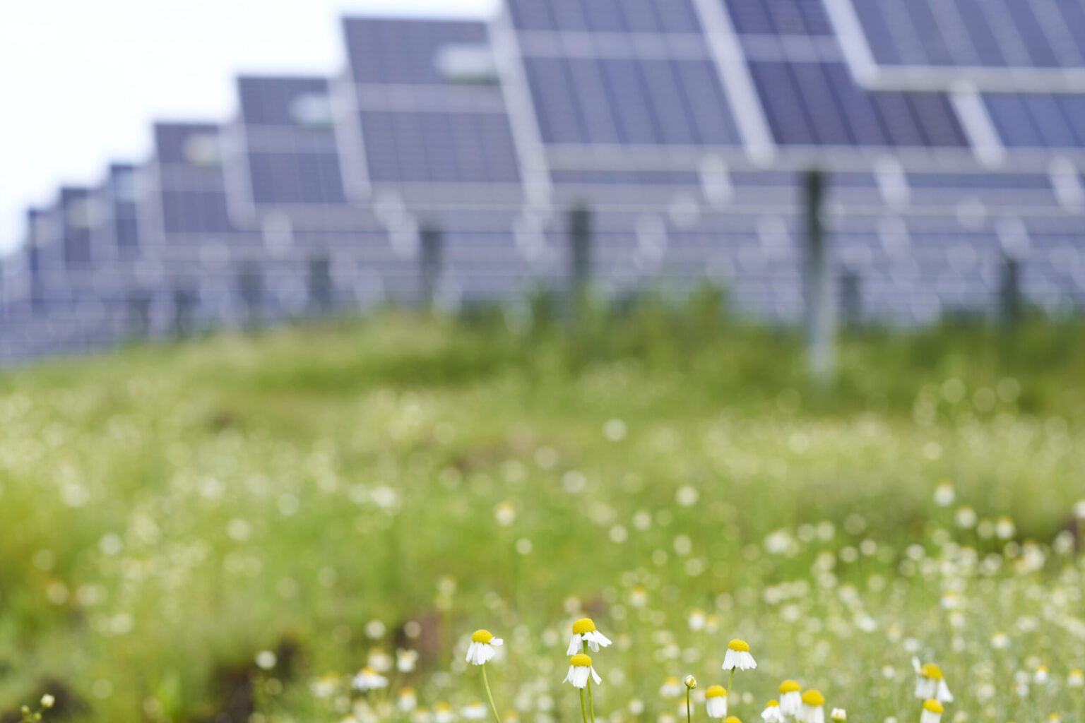 European Energy partners with Power Factors to boost asset performance ...