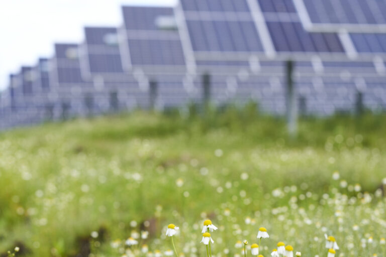 European Energy partners with Power Factors to boost asset performance ...